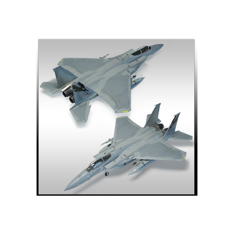 F-15 plastic plane model MSIP II 144th FW 1/72 - Scientific-MHD