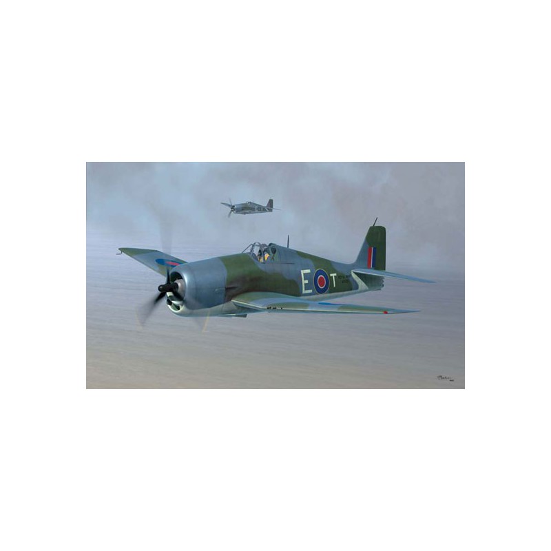 Kunststoffflugzeug Modell Hellcat Flotte Airarm Mk.ii1/48 - Scientific-MHD