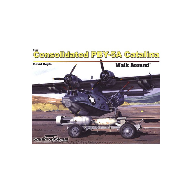 Buch PYB-5A Catalina Walkaround - Scientific-MHD