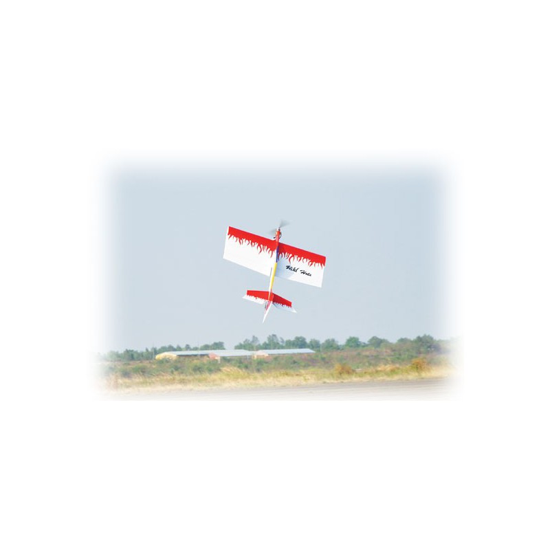 Wild HOTS EP ARF radio -controlled electrical planes - Scientific-MHD