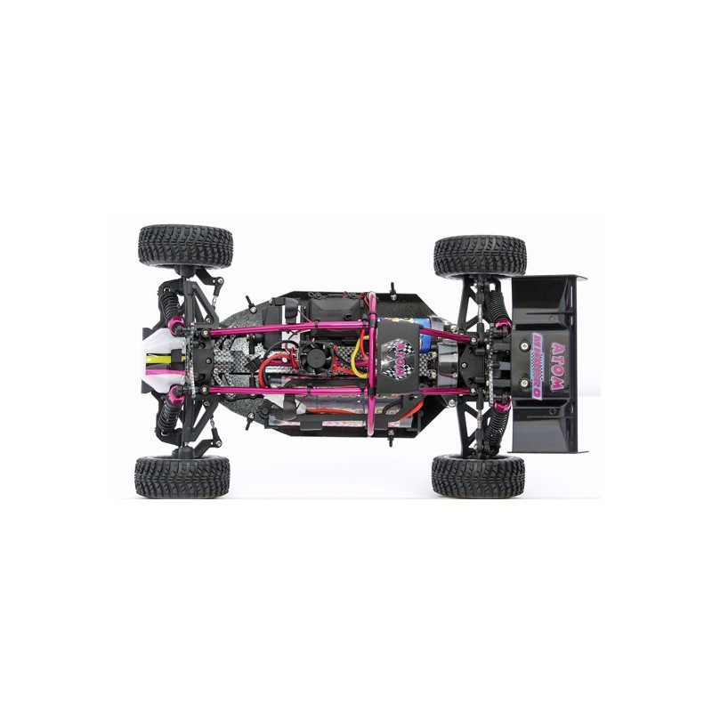 Voiture électrique radiocommandée ATOM Roller Cage 1/10 - Scientific-MHD