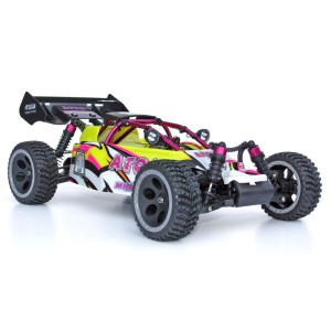 Voiture électrique radiocommandée ATOM Roller Cage BL 1/10 - Scientific-MHD