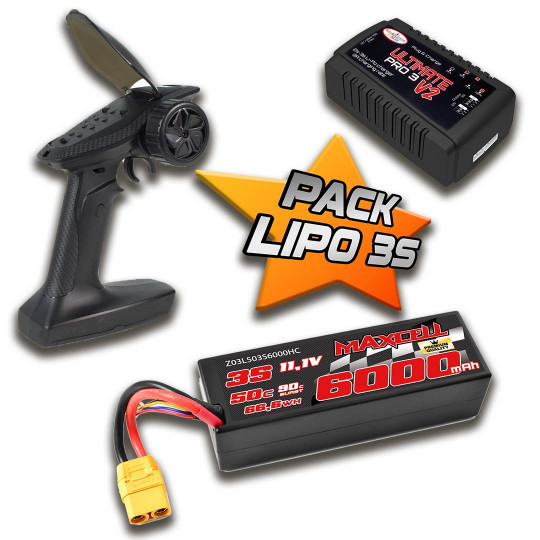 Voiture électrique radiocommandée Buggy GUNNER 4S Combo 3S 1:8 ...